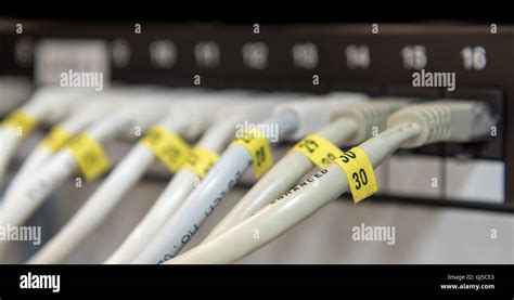Computer Ethernet Data Cables Connected In A Row On A Data Patch Panel