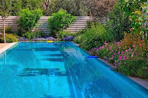 Cómo Elegir Los Mejores árboles Y Plantas Para Ajardinar La Piscina