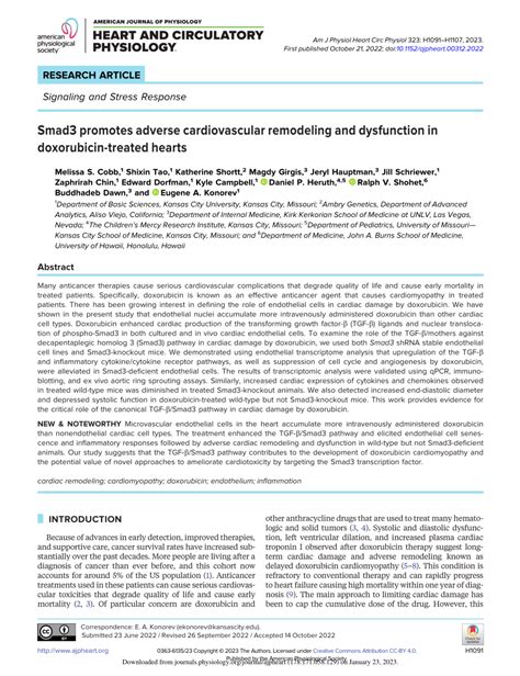 Pdf Smad3 Promotes Adverse Cardiovascular Remodeling And Dysfunction