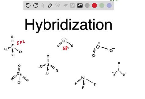Solved Give The Expected Hybridization Of The Central Atom For The Molecules Or Ions In