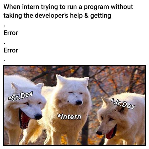 Testing Meme Artofit