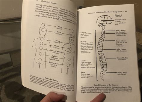 Sexual Transmutation How To Use Sexual Energy To Manifest Artofit