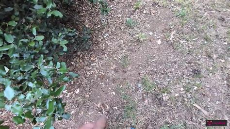 CAZZO GUARDI Scopata Da Un GUARDONE SCONOSCIUTO Lungo La FERROVIA Free Sex Video RedTube