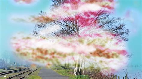 Migraine Aura The Signs Youre Having A Migraine Migraine Symptoms