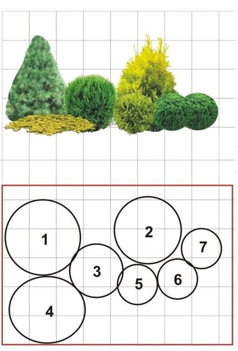 Мини курс Хвойные композиции Цветник план Композиции цветников Идеи озеленения