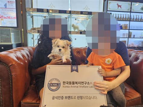 시츄푸들 우엉 보스턴테리어 핏불테리어 허스키 테리어종류 꼬똥 차오차오 아프간하운드 Cat 강아지분리불안 털안빠지는강아지 귀여운강아지 강아지종 사바나캣 믹스견 잭러셀테리어