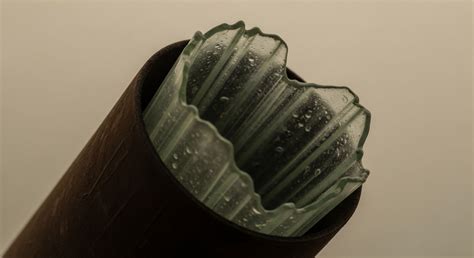 How Does The Production Of Sulfide From Sulfate Reduction Influence
