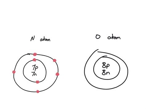 Solved Draw A Nitrogen Atom N And An Oxygen Atom O