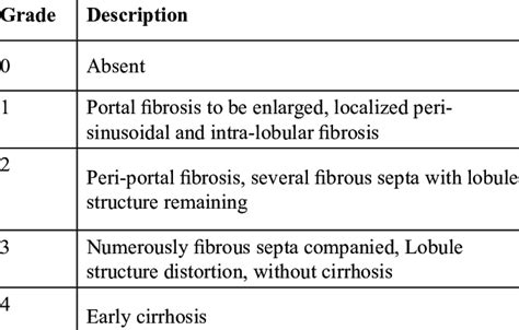 Staging Degree Of Fibrosis According To Metavir Score 16 17 Download Scientific Diagram