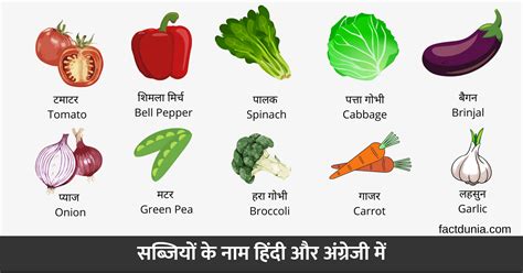 Vegetables Name In Hindi English 100 सब्जियों के नाम हिंदी और