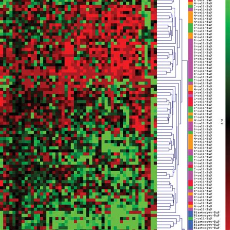 Unsupervised Hierarchical Clustering Analysis Of The Relative
