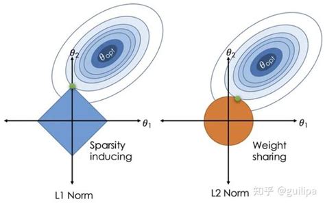 Pytorch学习 常见回归和分类损失函数 知乎