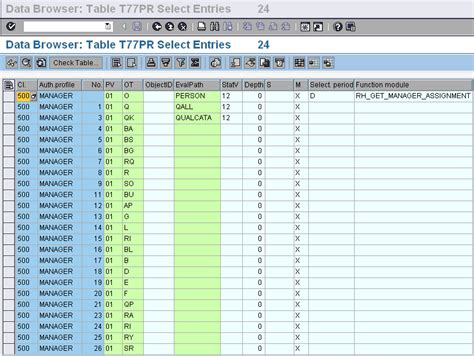 PD Profiles Definition Sap Security Pages