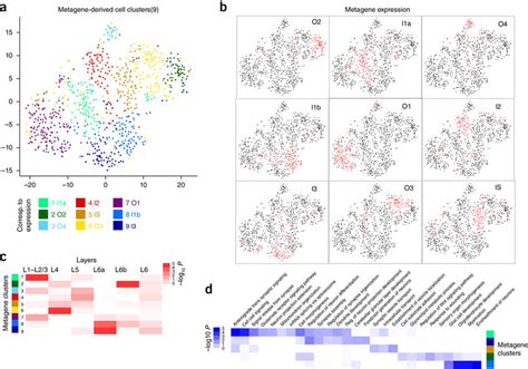 Reanalysis Of Single Cell Rnaseq Data From Ref 27 With Domain