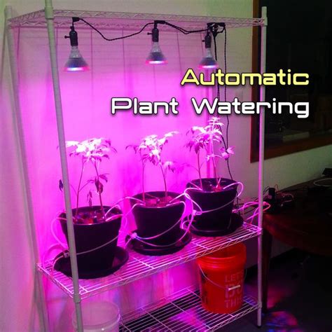 Automatic Plant Watering System With Arduino Artofit