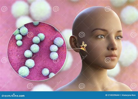 Streptococcus Structure Bacteria Streptococcus Infographics Vector Illustration On Isolated