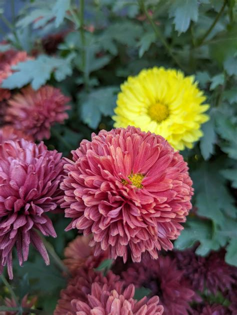 경치가 좋은 고요한 꽃 꽃무늬 꽃무늬 드레스 꽃이 피는 꽃잎 낭만적인 녹지 누크 레오스 리카 대나무 숲 뒷모습 등이없는 드레스 모델 몽환 무성한