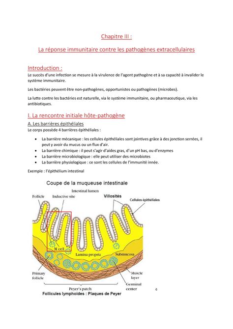 Chapitre Iii Warning Tt Undefined Function 32 Warning Tt Undefined Function 32 Chapitre