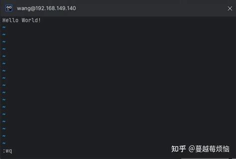GoLand远程开发IDE使用SSH远程连接服务器进行云端编程 知乎 GoLand远程开发IDE使用SSH远程连接服务器进行云端编程 知乎