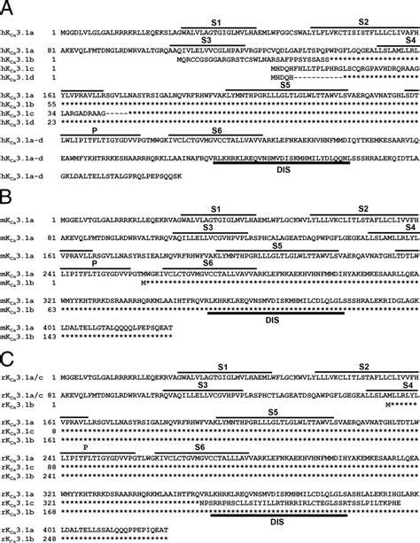 Alternatively Spliced Variants Of K Ca 31 The Alignment Of The Amino