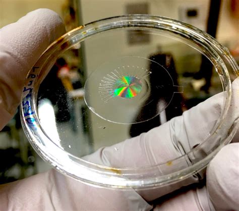 metalens with artificial muscle simulates and goes way beyond human