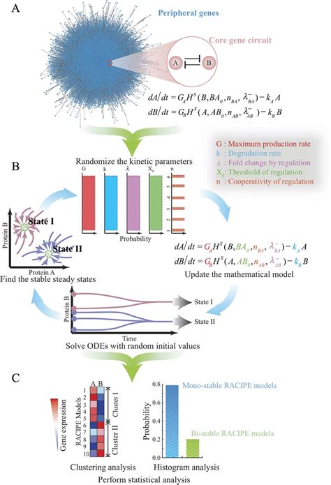 Schematics Of The Random Circuit Perturbation Racipe Method A The