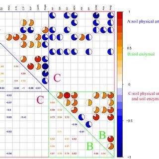 The Correlation For The Relationship Between Soil Physical And Chemical Download Scientific