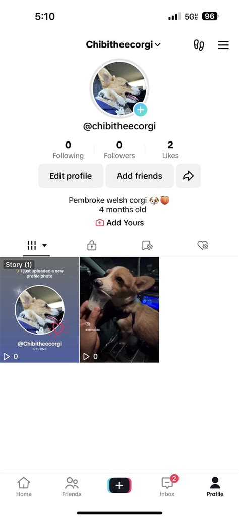 Chibi The Corgi 🐶 Rcorgi