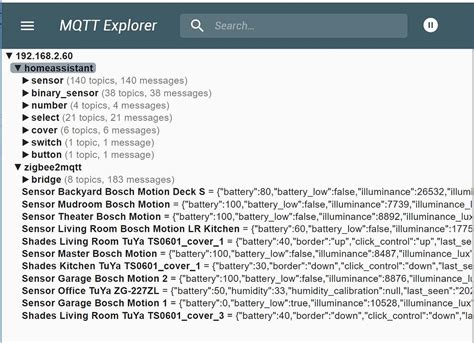 How To Connect Remote Z2m Install To Home Assistant Including Homeseers Zigbee Home