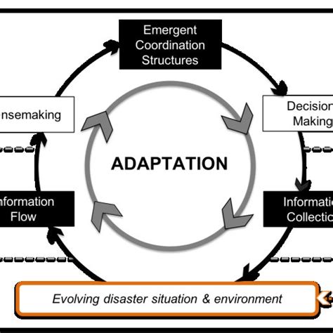 Cycle Of Sensemaking Emergent Coordination And Decision Making New Download Scientific