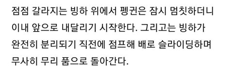 깨진 빙하 조각 위에 홀로 남겨진 펭귄극적인 탈출 인스티즈instiz 이슈 카테고리