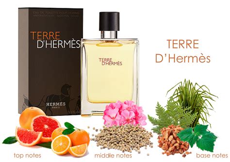 Terre Dhermès Hermes Perfume Advertisement