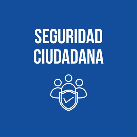 Seguridad Ciudadana Cicstep
