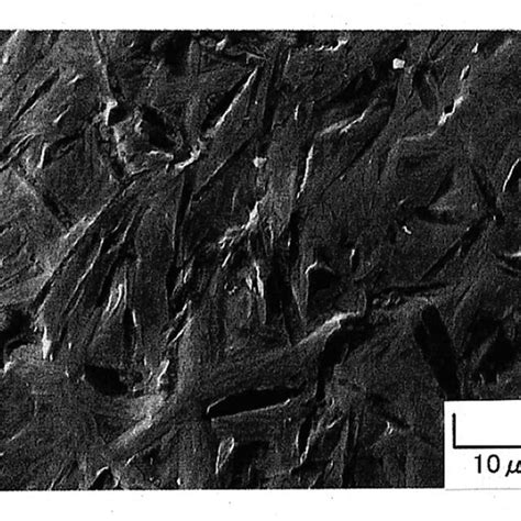 Secondary Electron Image Of The Polished Cross Section Of The Spherical Download Scientific