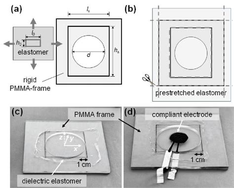 Fabrication Steps For Planar Dielectric Elastomer Actuators P Deas Download Scientific