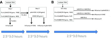 Real Time Multiplex Rt Pcr And Conventional Singleplex Rt Pcr Assays