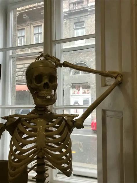 Cười Xả Stress Với 122 Skeleton Meme độc đáo Và Sáng Tạo