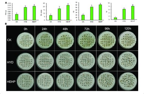 Effects Of Different Treatments On Carrot Seed Germination Ck The