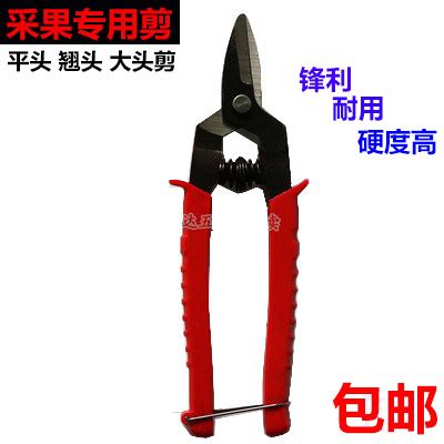 厂家直销采摘老式钢质水果柑桔橘剪葡萄苹果文旦剪枝条弹簧剪刀 虎窝淘