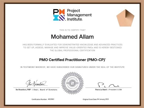 pmo value ring methodology mohamed allam 33 comments