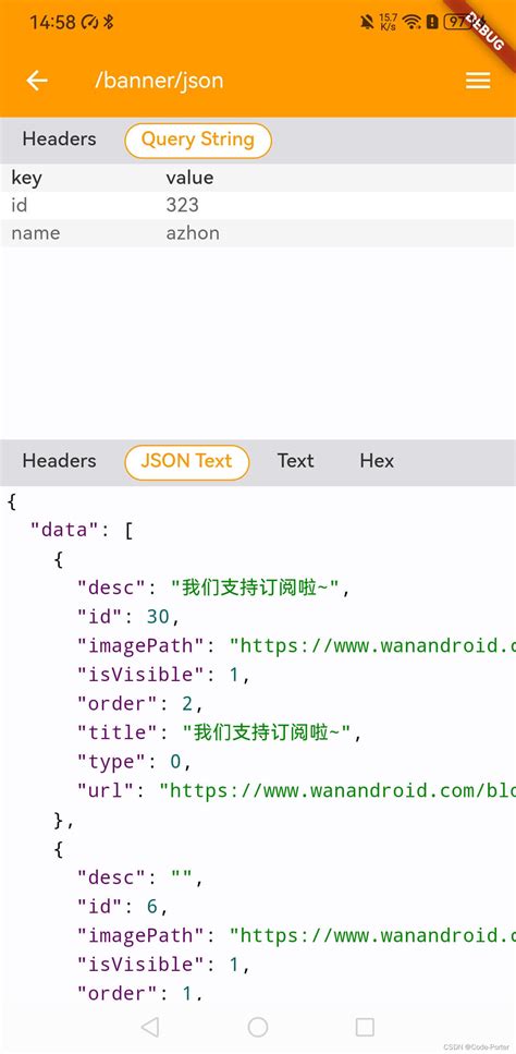 flutter 开发、测试，网络调试工具 flutter 查看网络请求 csdn博客
