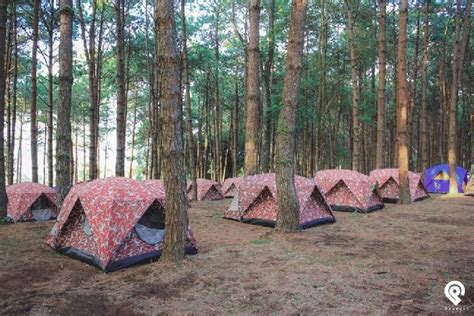 “ภูหินร่องกล้า” 2 วัน 1 คืน นอนหนาว ล่าหมอก กอดธรรมชาติ