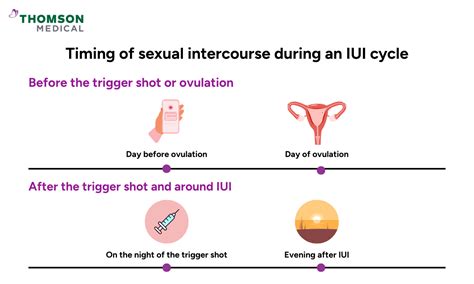 Can You Have Sex Before Iui Timing Safety And Fertility Tips