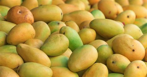 A Comprehensive Overview Of Pakistani Mango Price In Pakistan