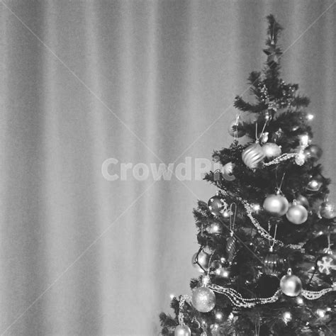 흑백 크리스마스트리 장식물 커튼 겨울 사진이미지일러스트캘리그라피 Chealoia작가