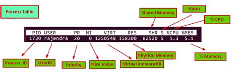 适用于sql Server Dba的有用的linux命令页首 Csdn博客
