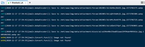 why many pics return bad file · issue 55 · webp sh webp server go · github