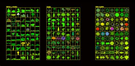 Trees Ground DWG Plan For AutoCAD Designs CAD