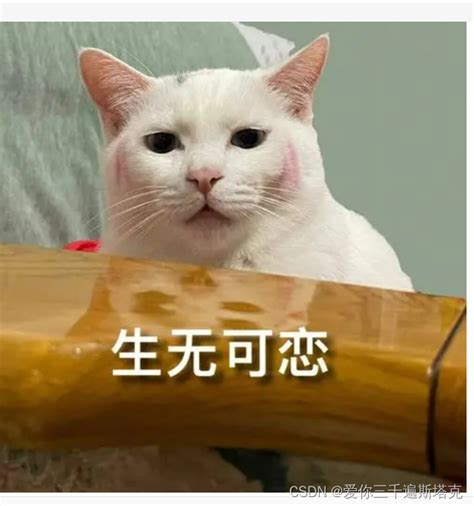 一个好的建议 利用gitee对zip和image文件进行保存gitee怎么存文件 Csdn博客