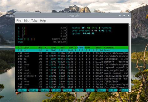 run an application at startup not working properly in interactive mode raspberry pi forums